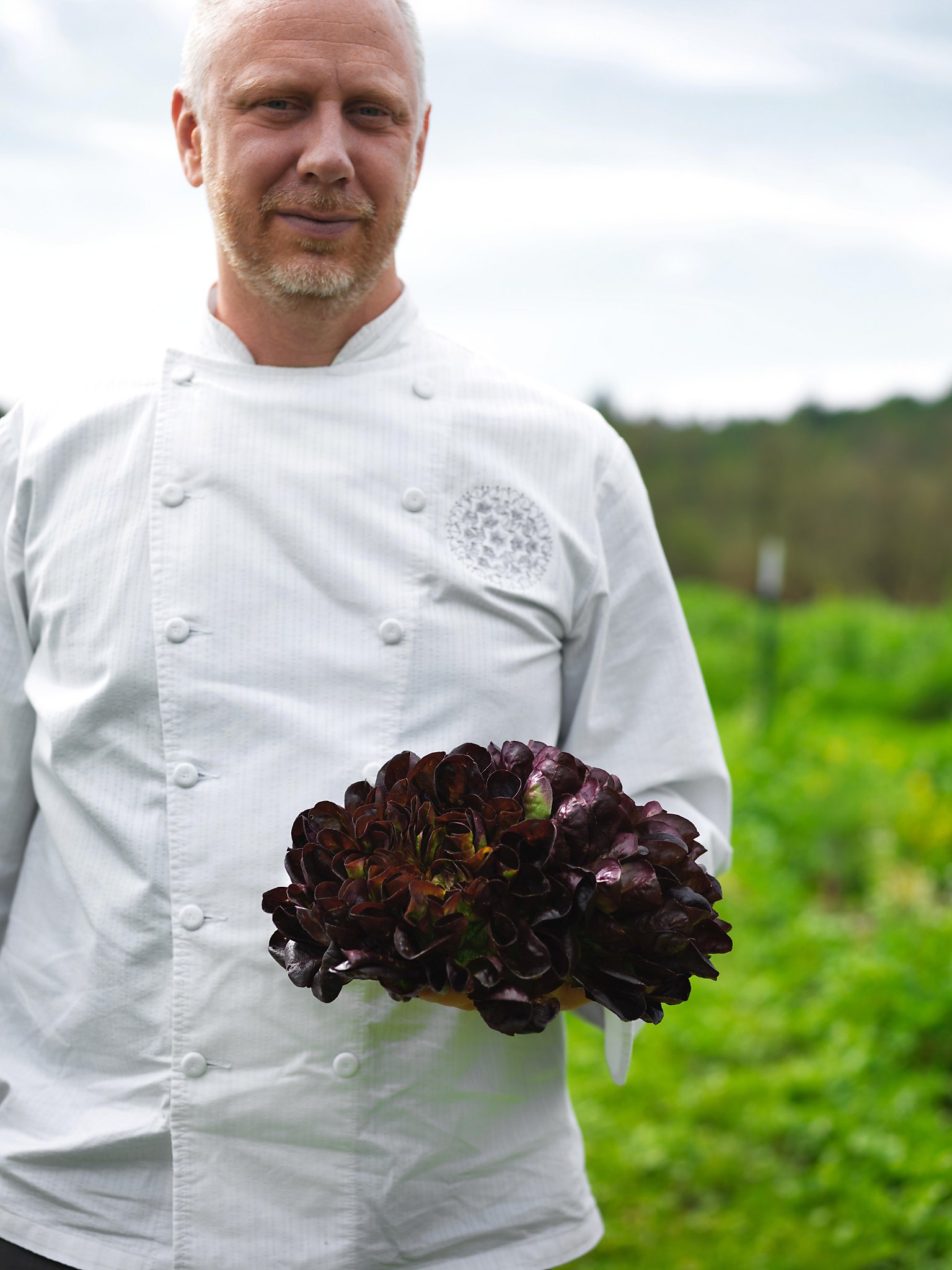 Four-star chefs to cook at Wine Country relief fundraiser