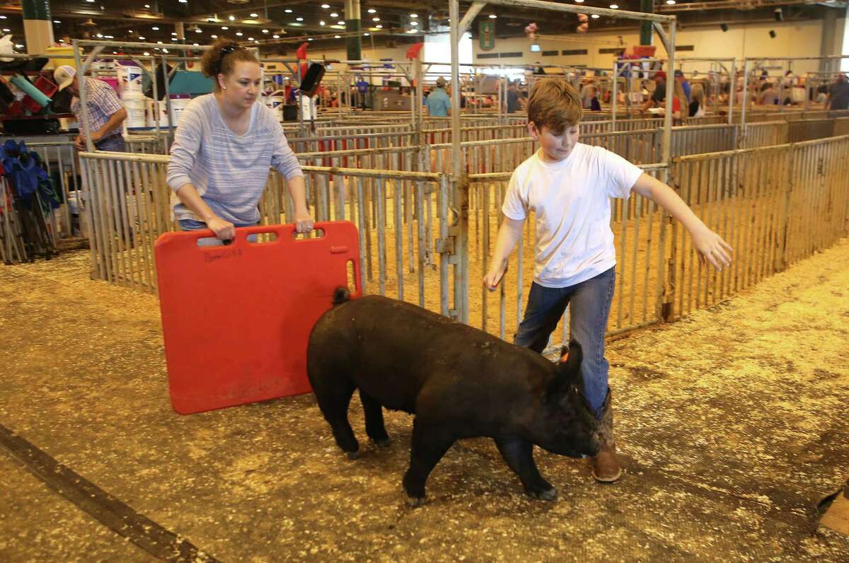 Experience the Houston Livestock Show and Rodeo