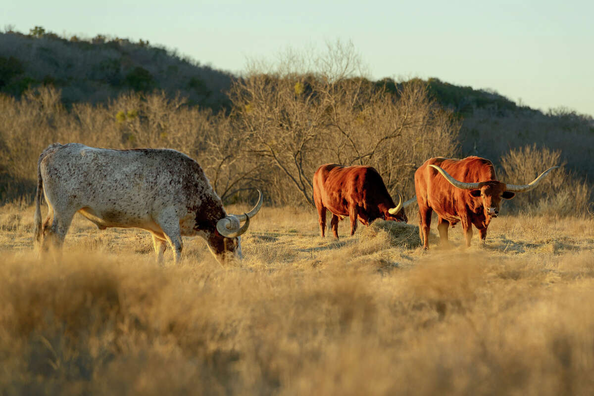 Historic Wildcatter Ranch & Resort in Texas listed at nearly $15 million