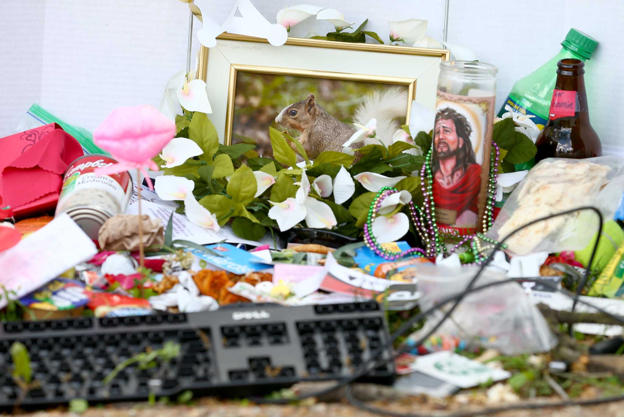 Univ. of Houston students to throw funeral for beloved squirrel