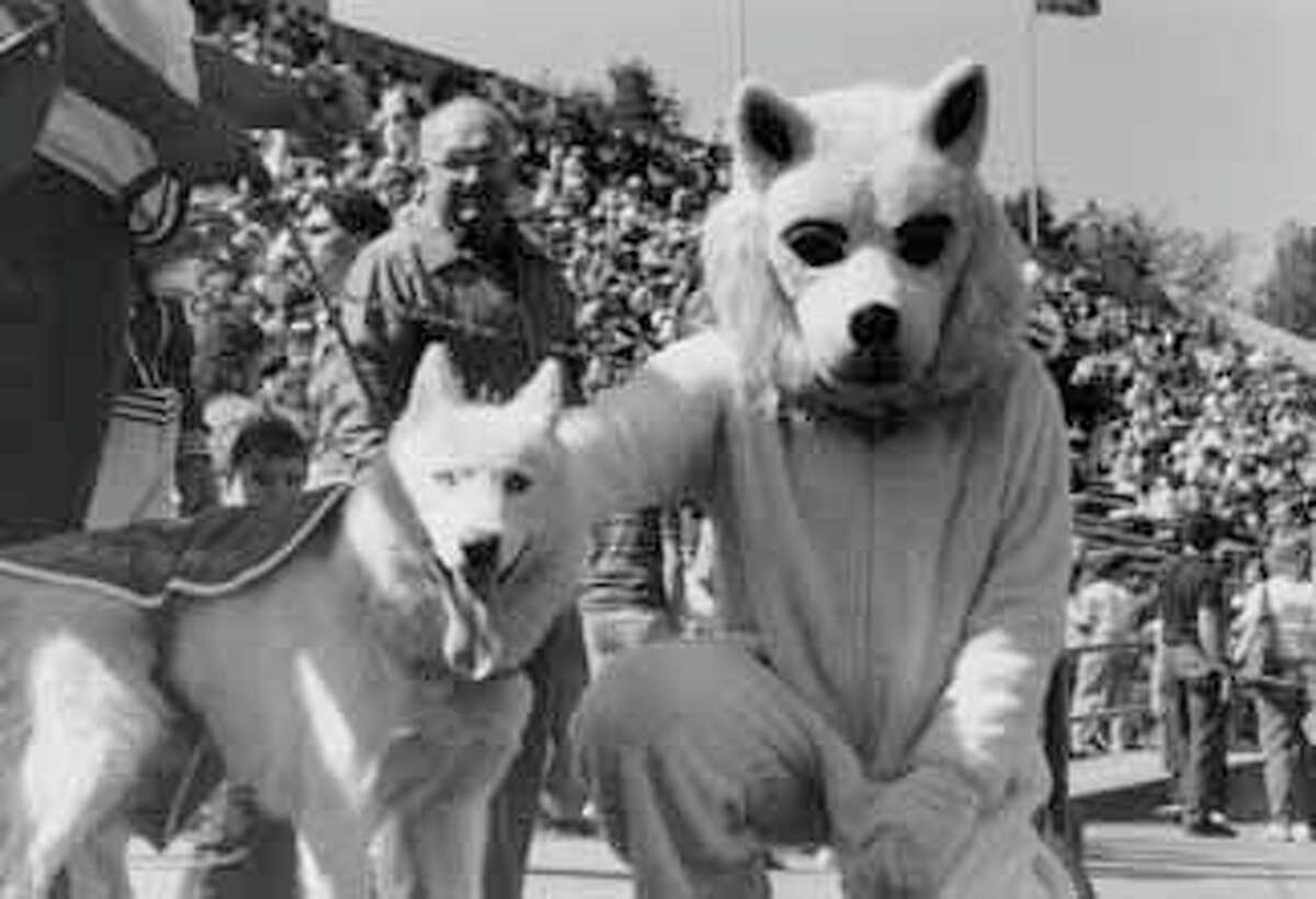 Meet UConn's top dog, Jonathan the Husky