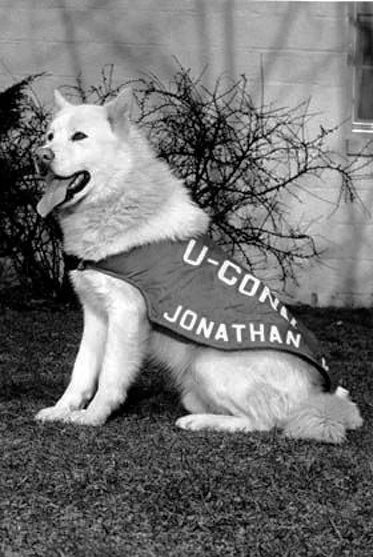 Meet UConn's top dog, Jonathan the Husky
