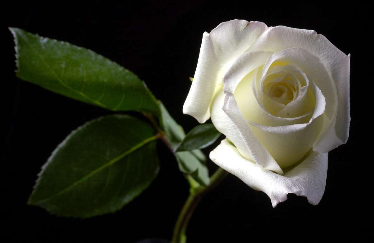 Lisa Holthouse: Best Dressed Hall of Fame 2017