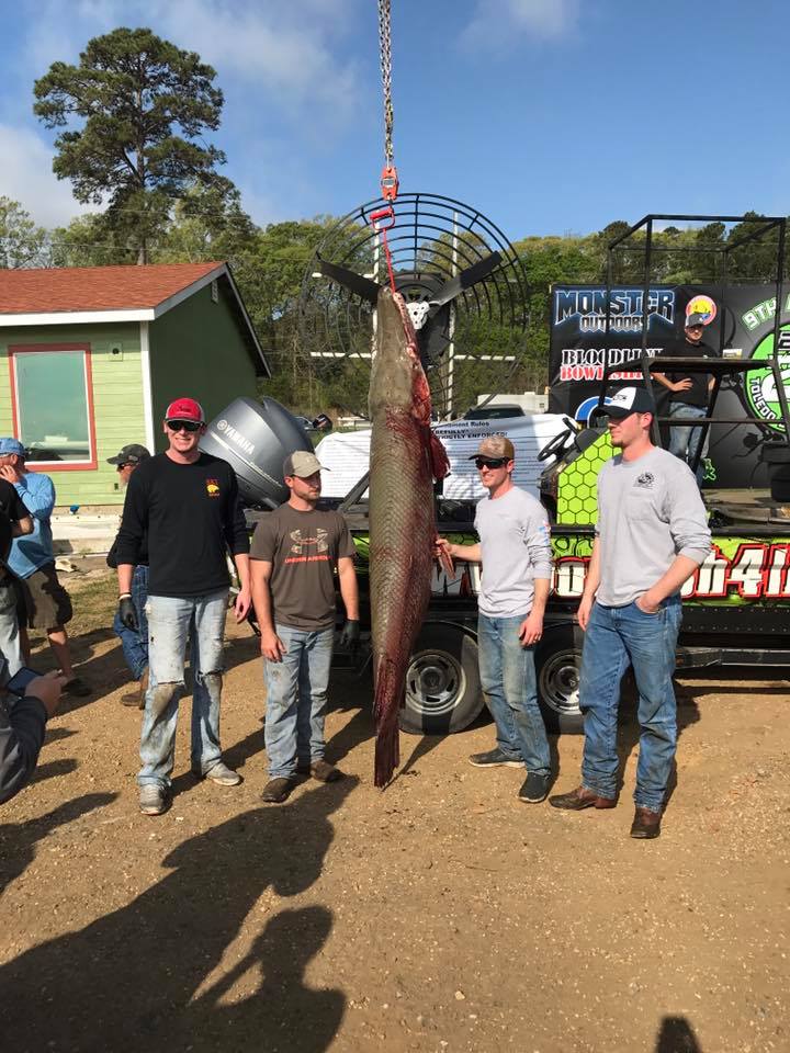 Video: Backhoe hauls up 'giant' alligator gar that may break East Texas ...