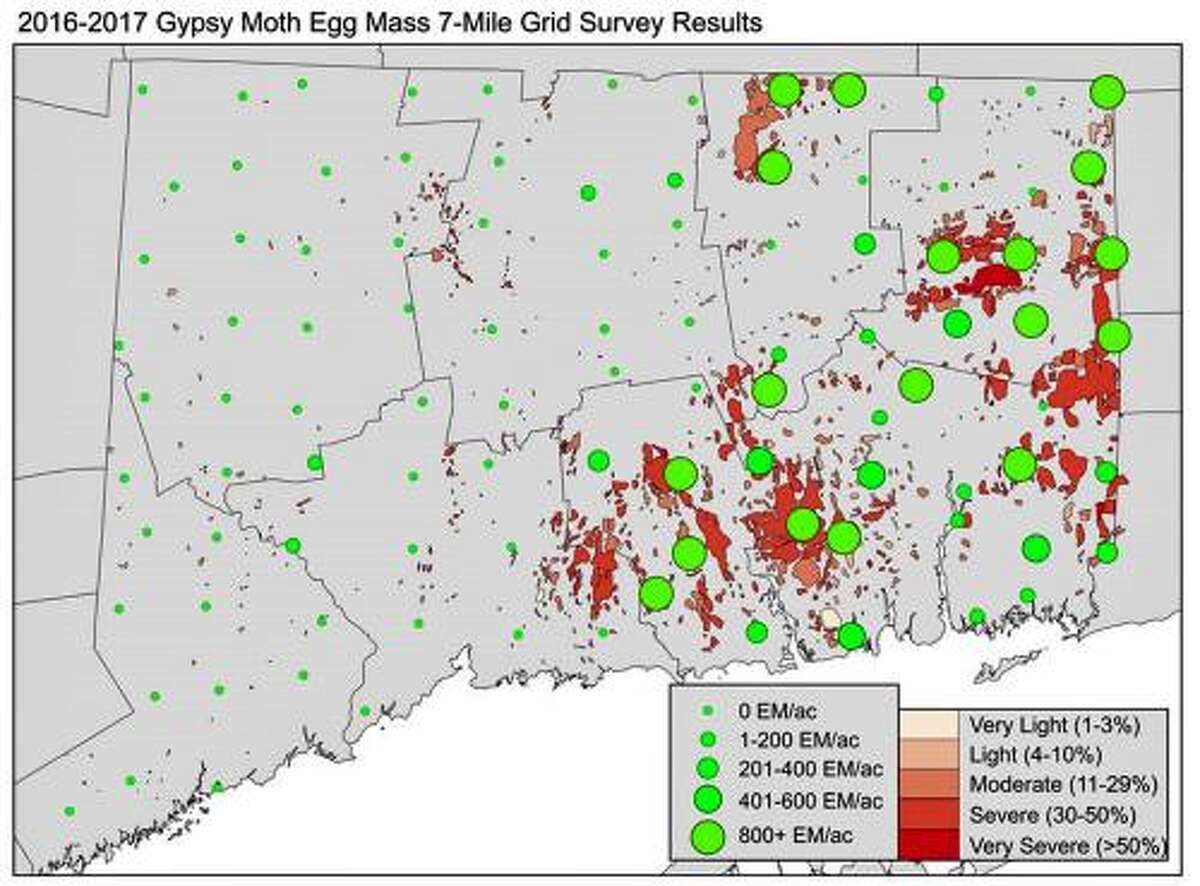 Southwest Conn. to escape most of gypsy moth damage
