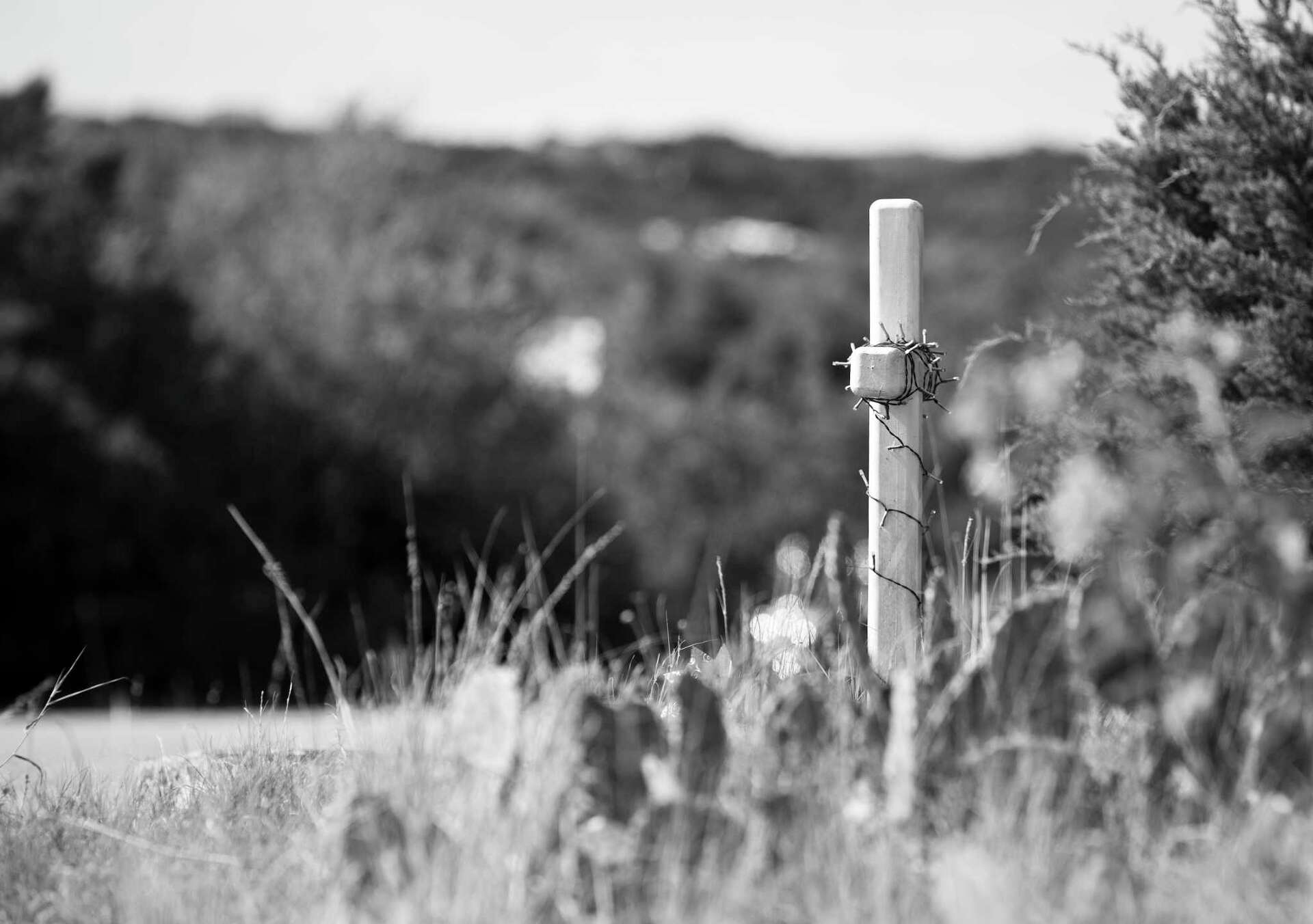 'Vanishing Points' stops to examine roadside memorials