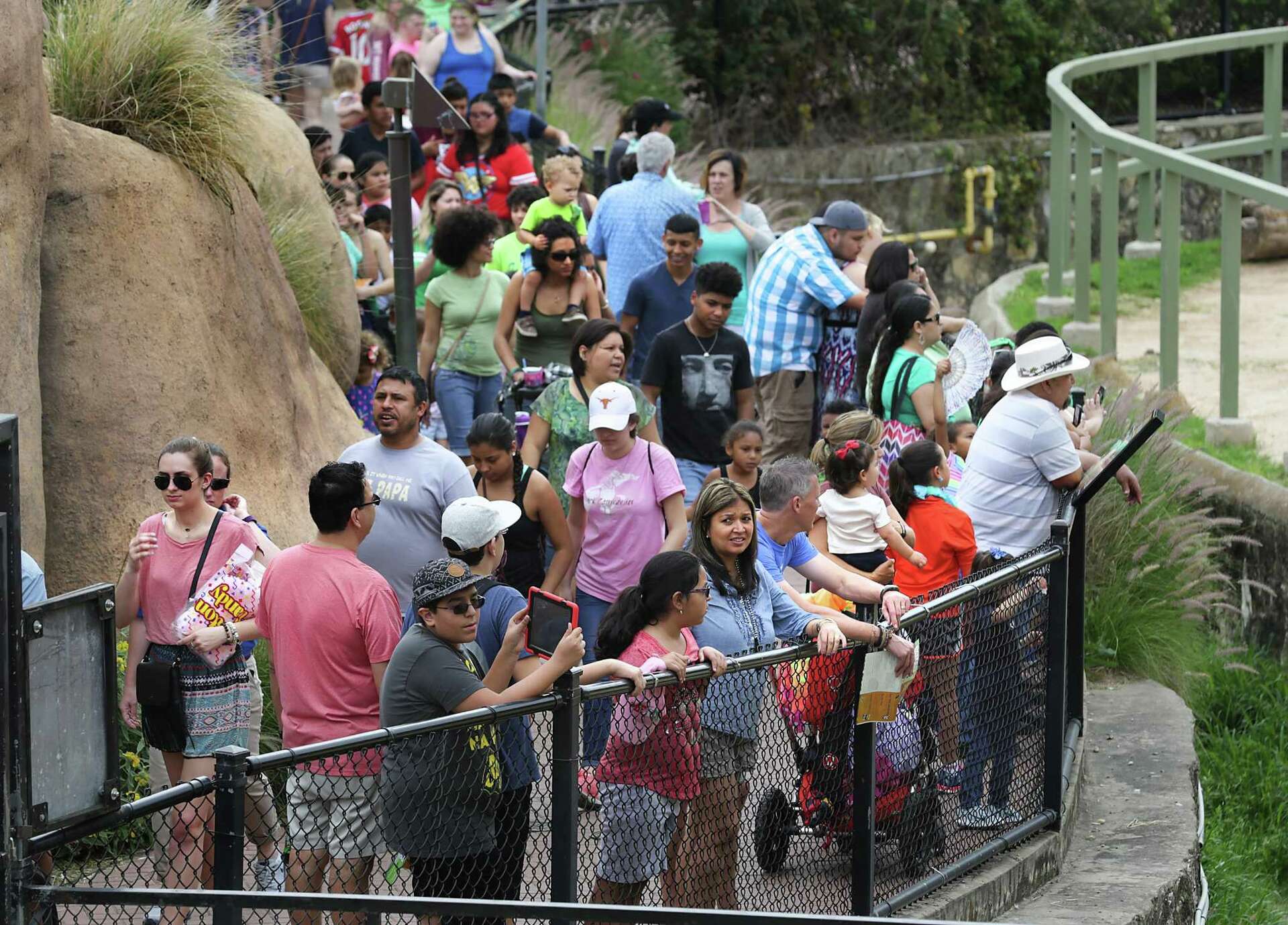 San Antonio Zoo wins national award