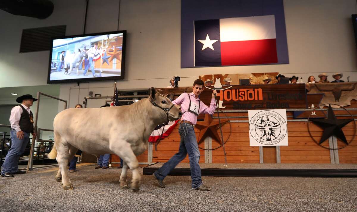 Steer bring in big bucks at Rodeo auction