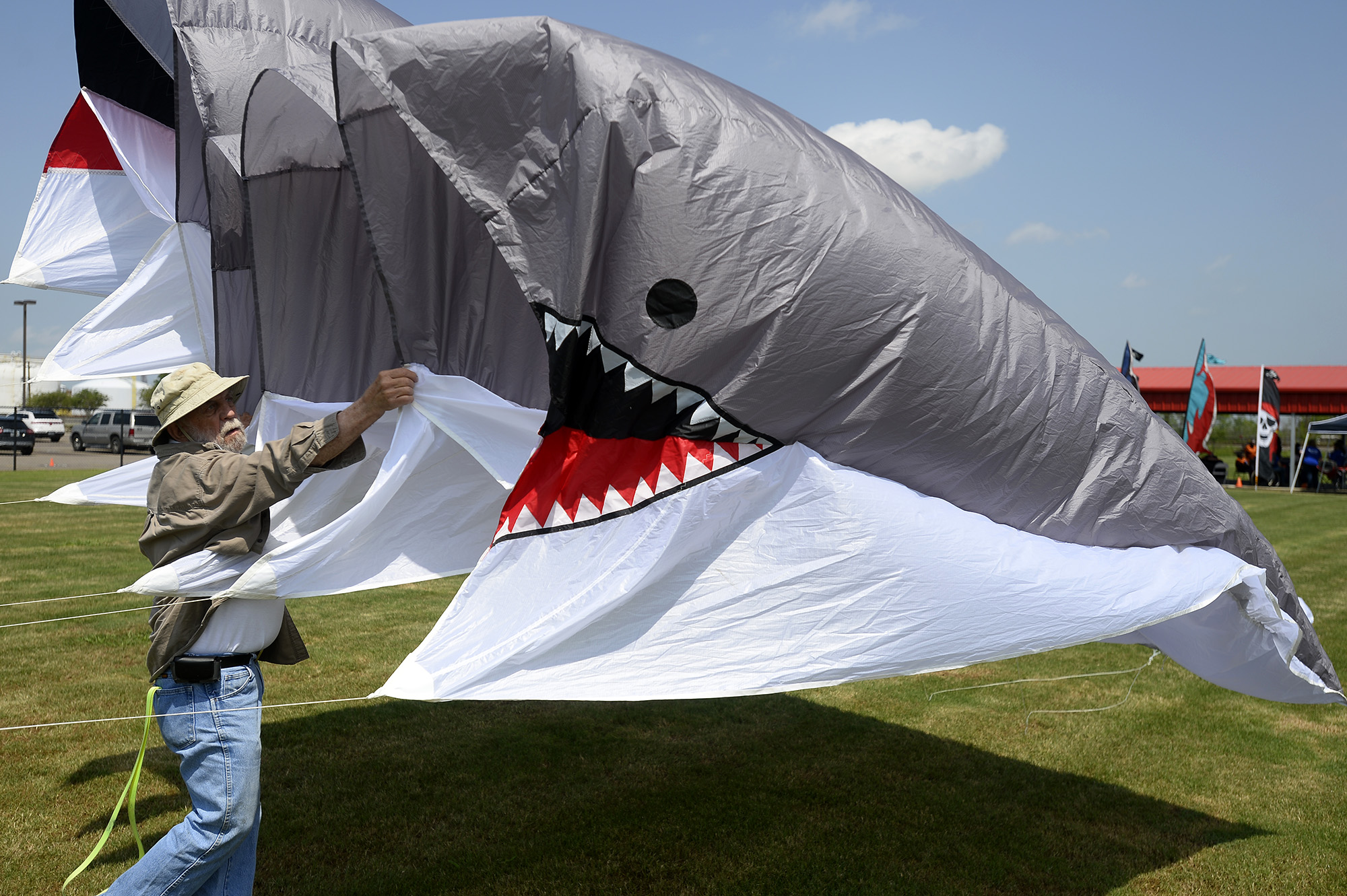 Kites soar at festival