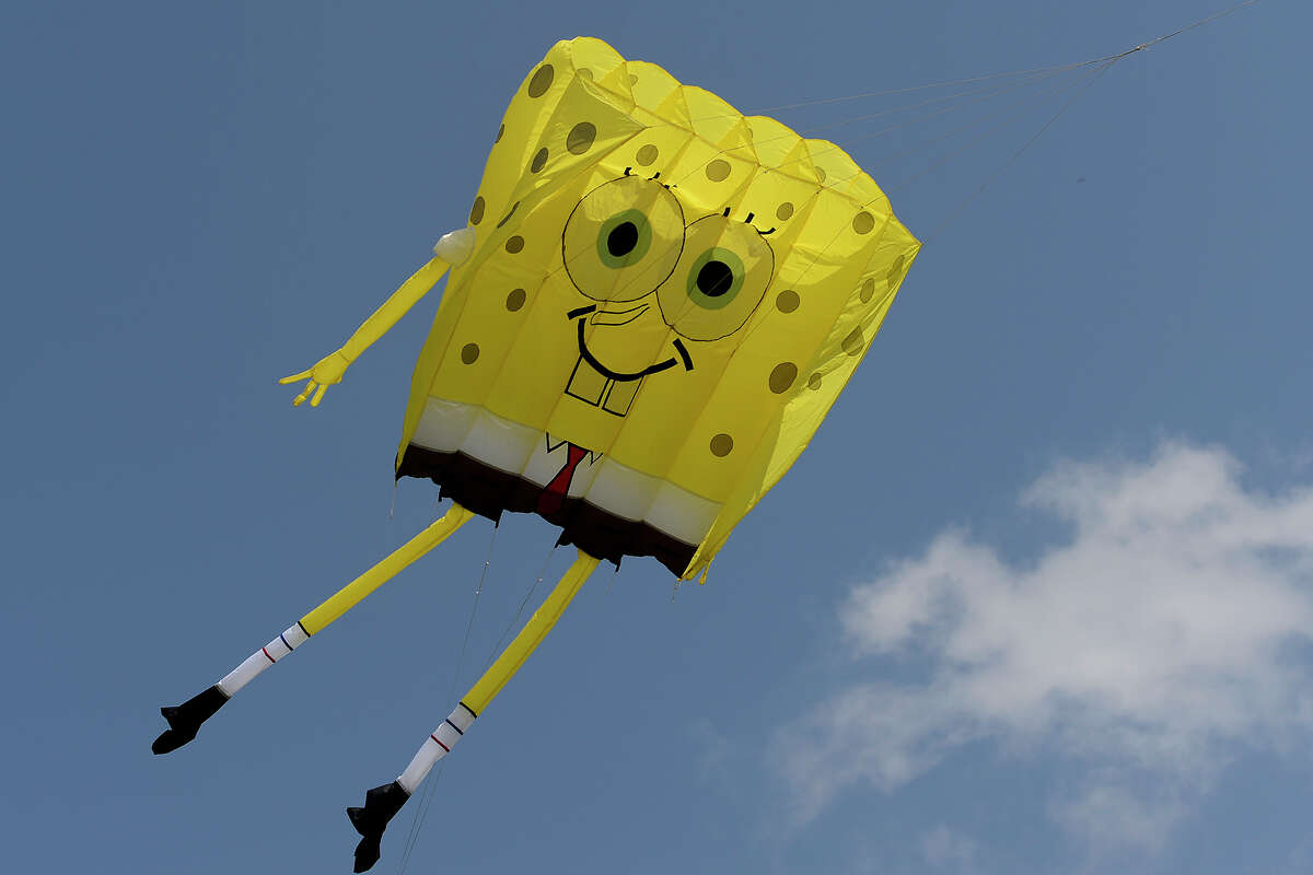 Kites soar at festival