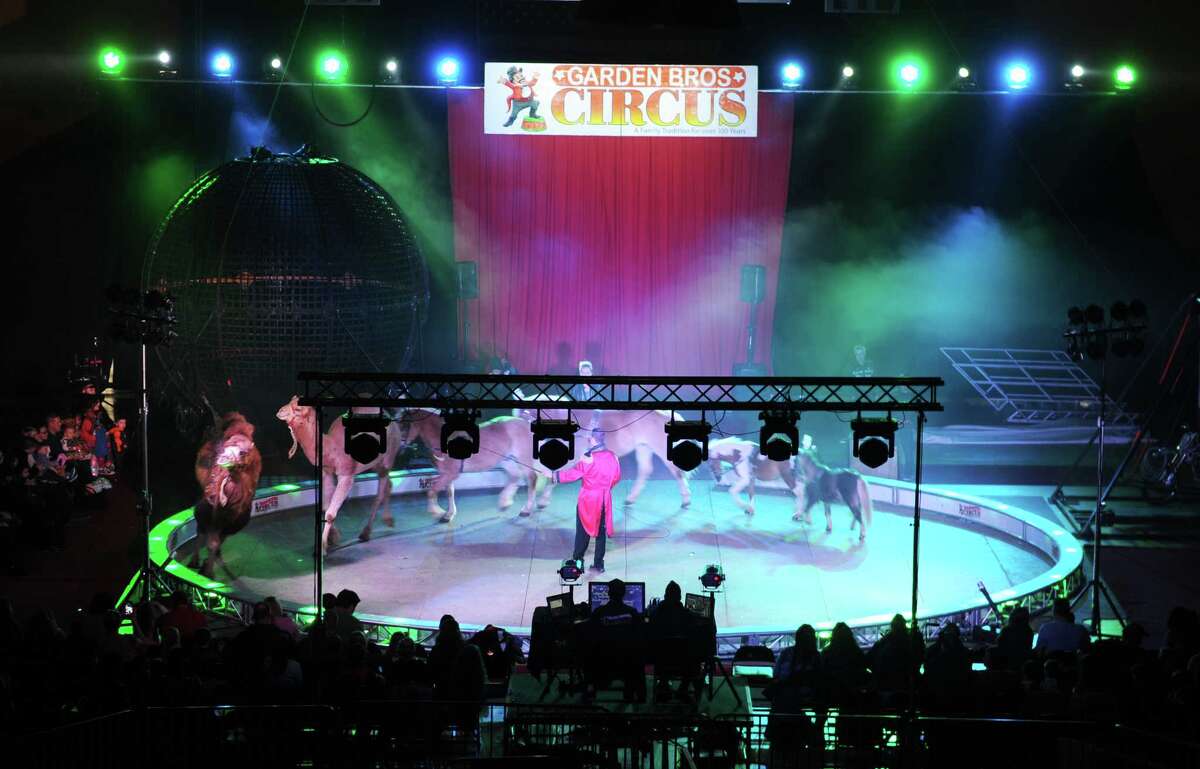 The circus show protests go on in Albany