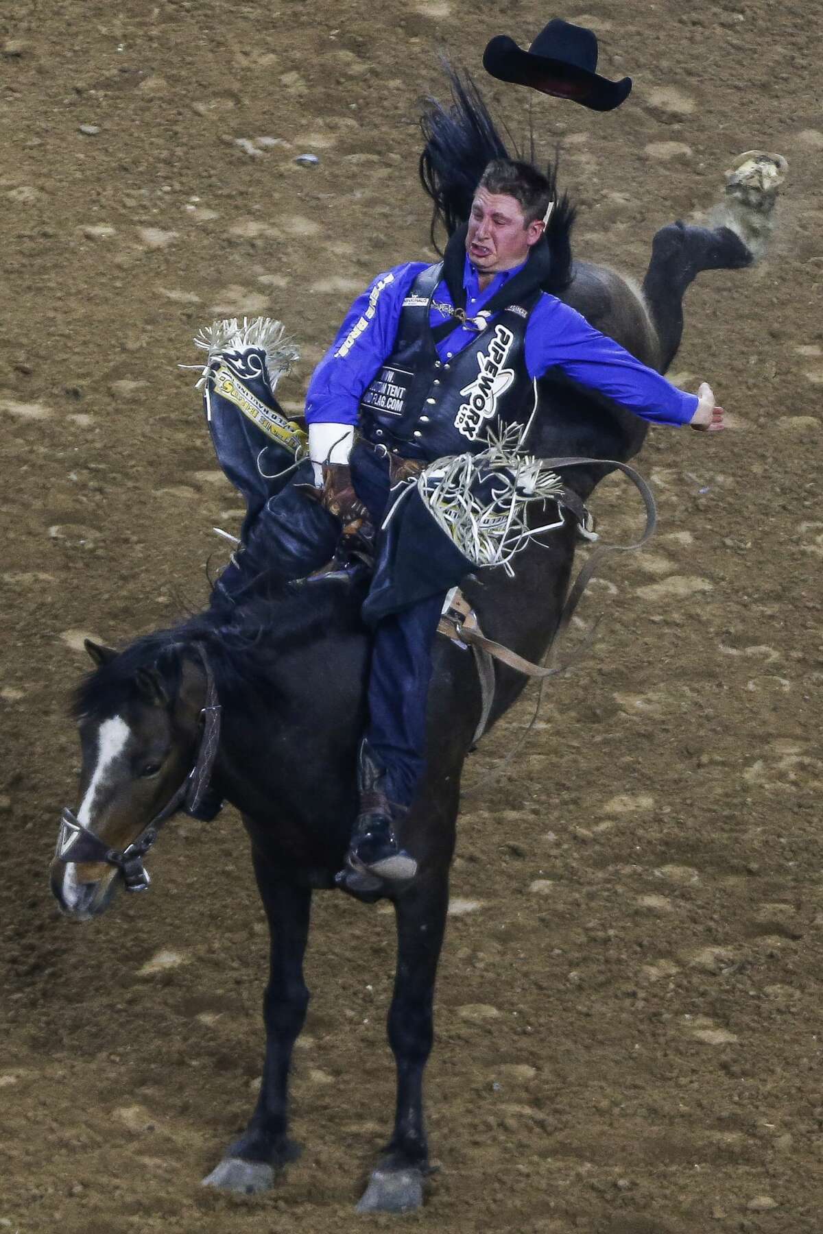 The best 100 photos from the 2017 rodeo