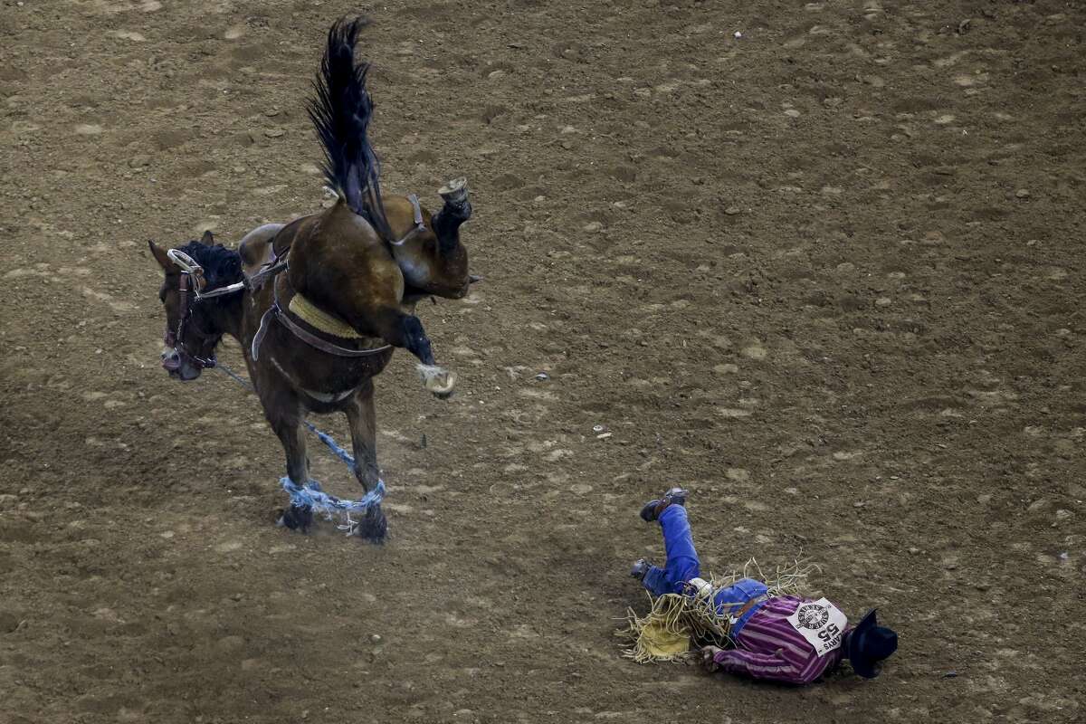 The best 100 photos from the 2017 rodeo