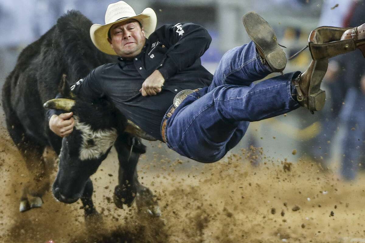 The best 100 photos from the 2017 rodeo