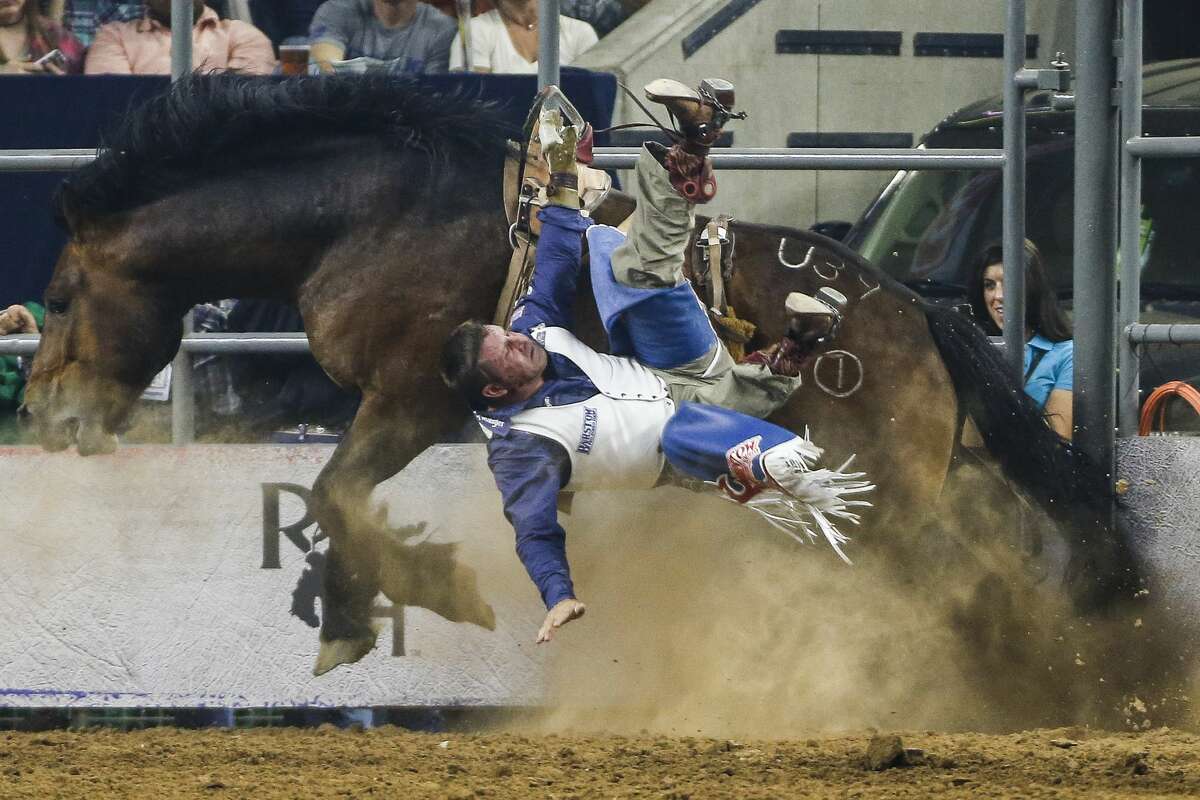 The best 100 photos from the 2017 rodeo
