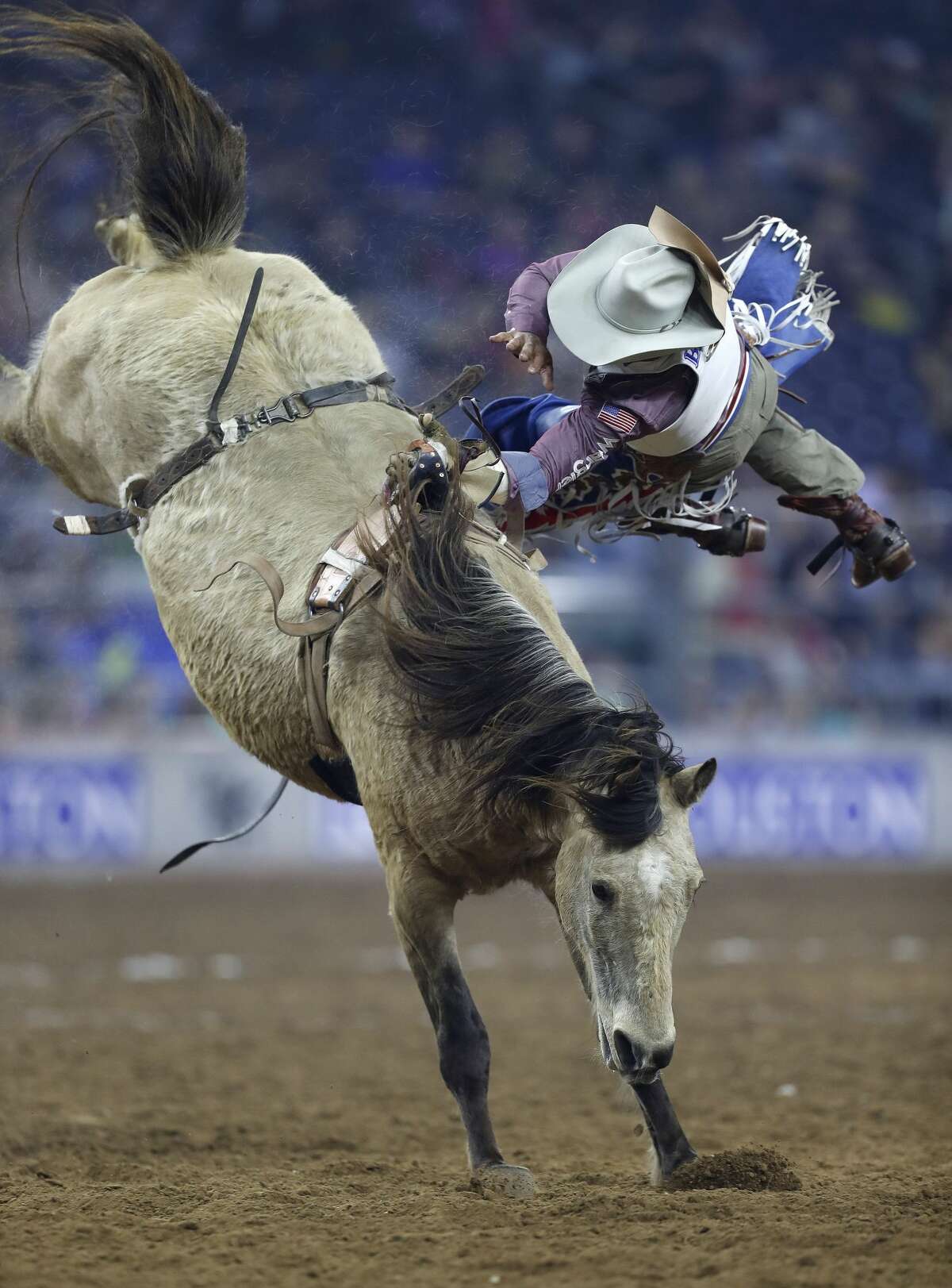 The best 100 photos from the 2017 rodeo