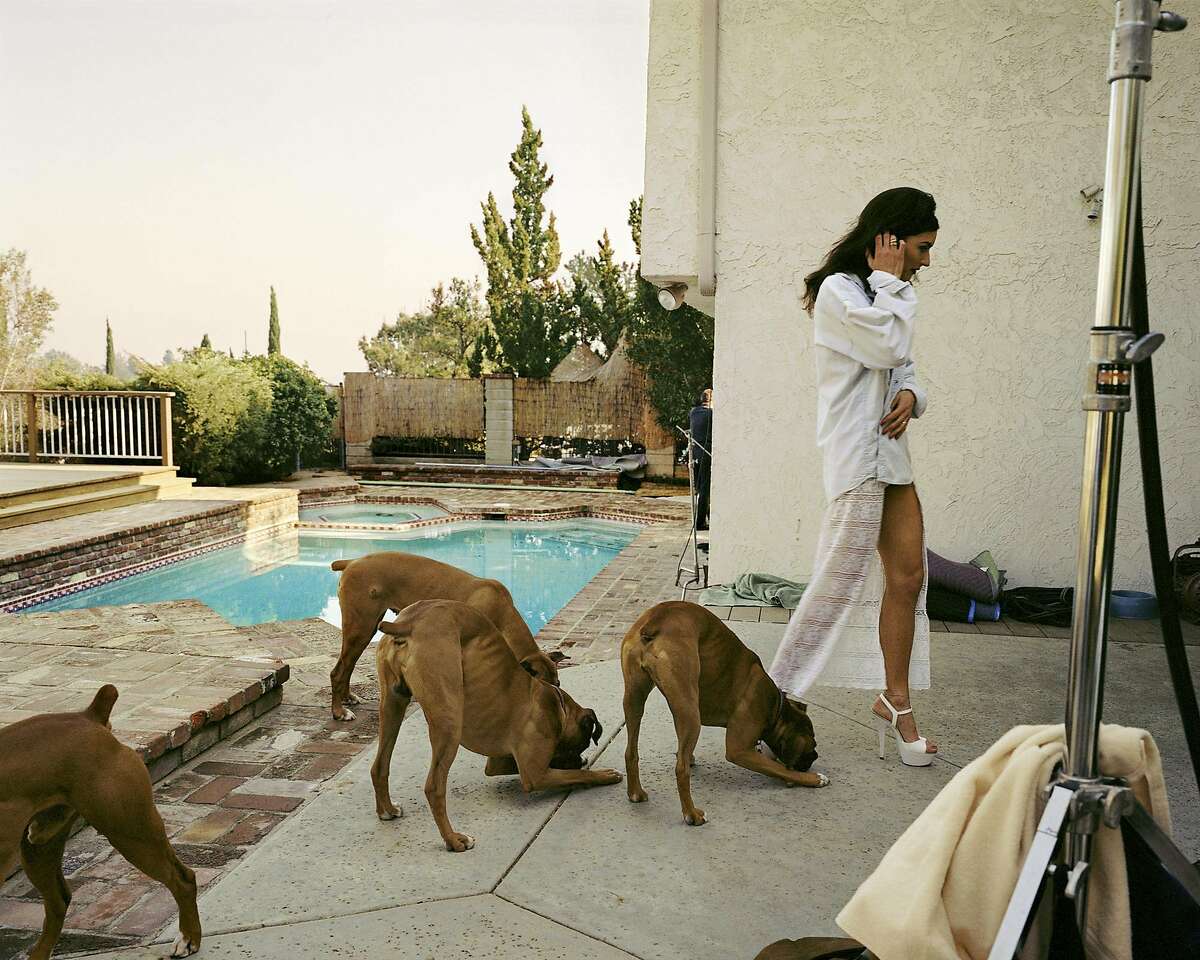Larry Sultan exhibit showcases photographer's depictions of suburbia