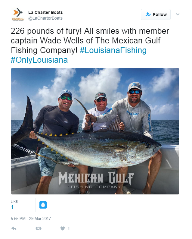 Monstrous yellowfin tuna caught in Gulf of Mexico