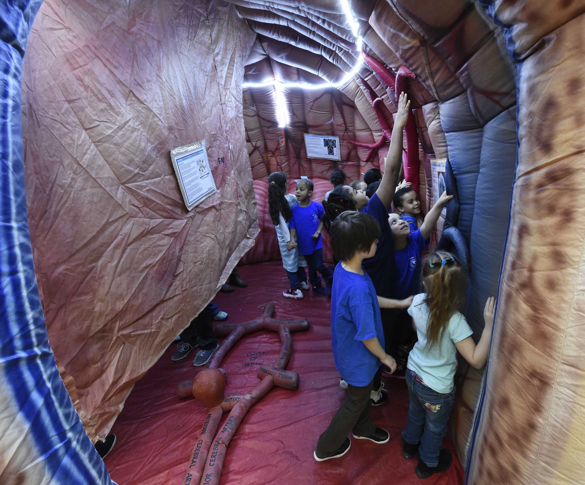 Journey Through the Body at Crossgates