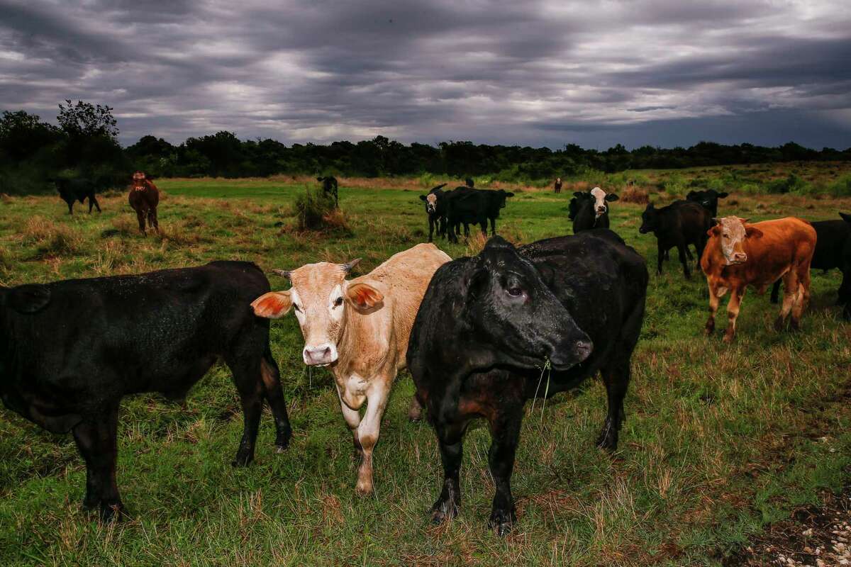 In Jackson County, a fight between oil and water