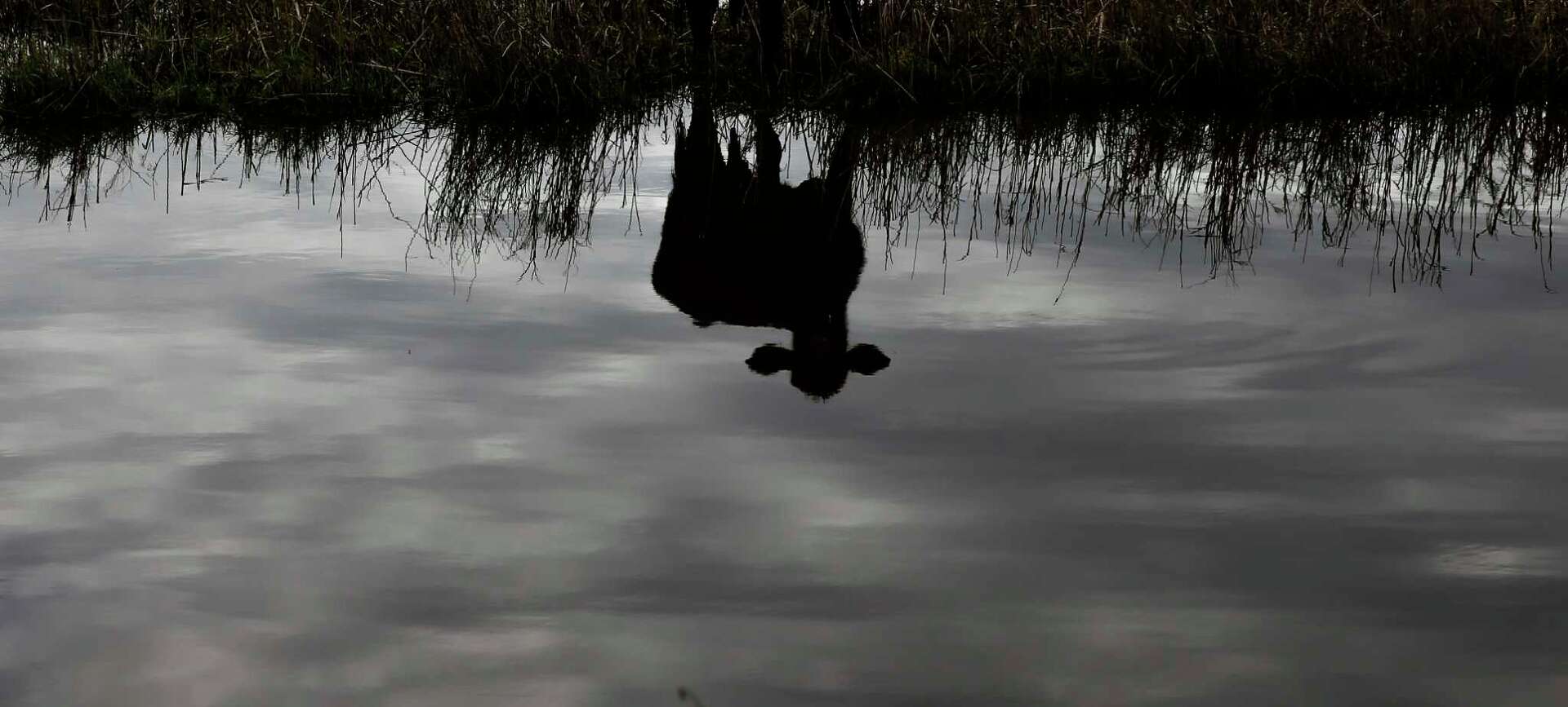 In Jackson County, a fight between oil and water