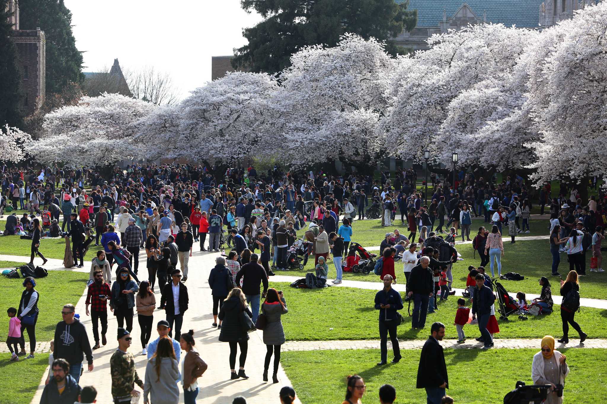 Go Dawgs: UW is ninth best university in the world