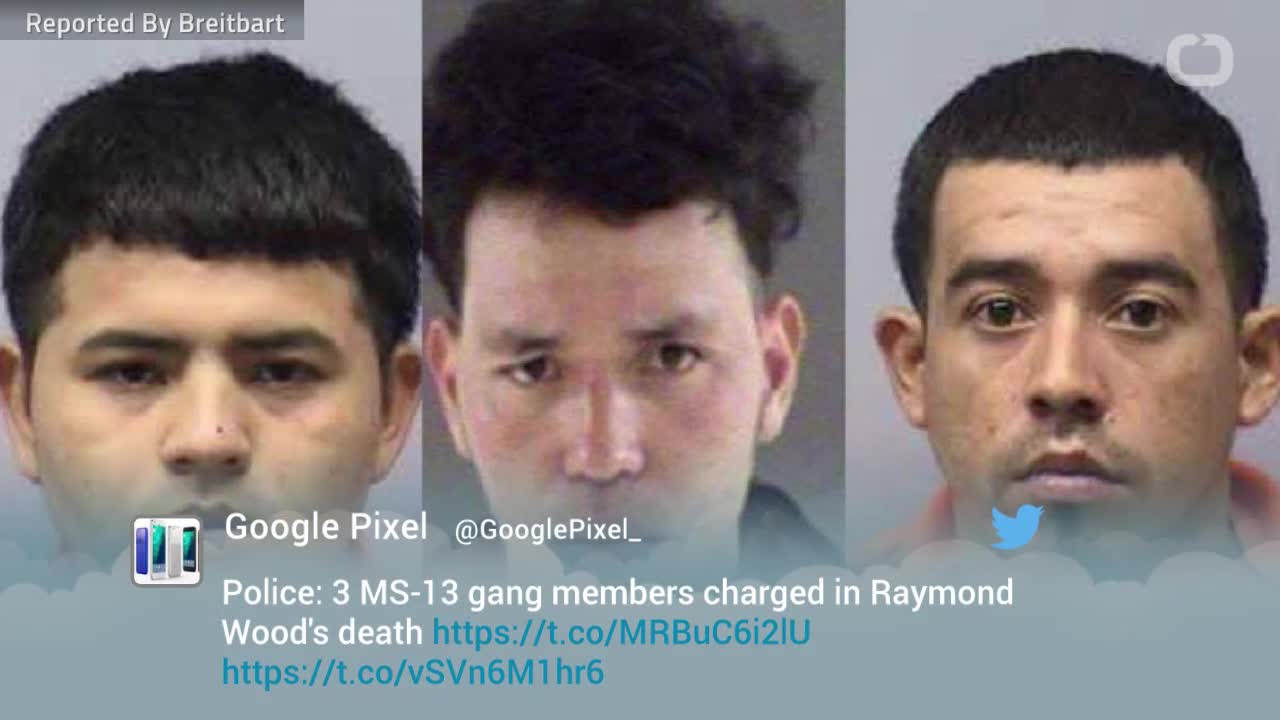 Survey shows Americans favor classifying MS-13 gang a terrorist group