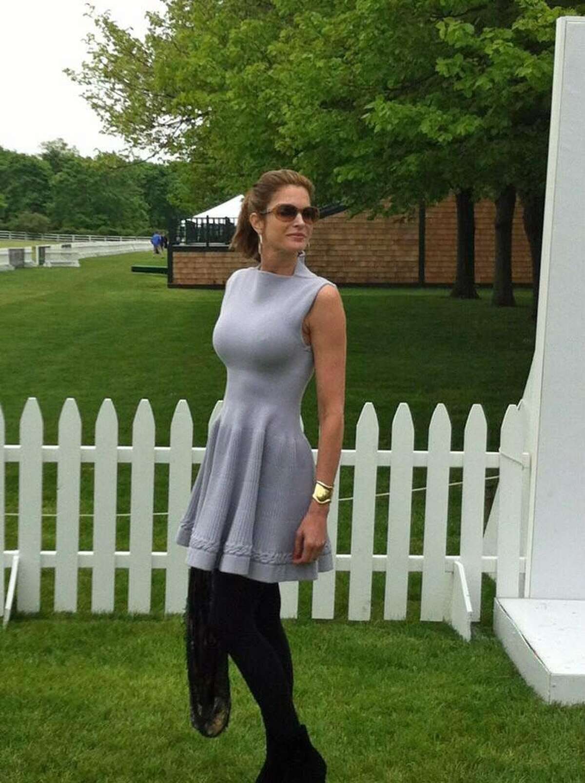 Charges dismissed against former supermodel Stephanie Seymour in Stamford