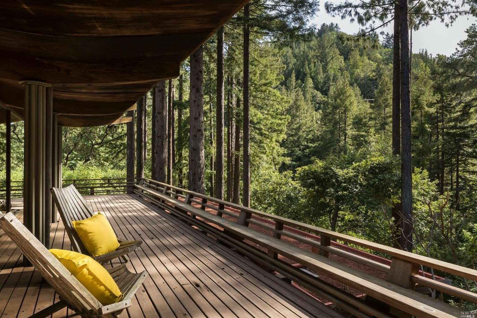 Daniel Liebermann masterpiece in Mill Valley is a redwood and glass wonder