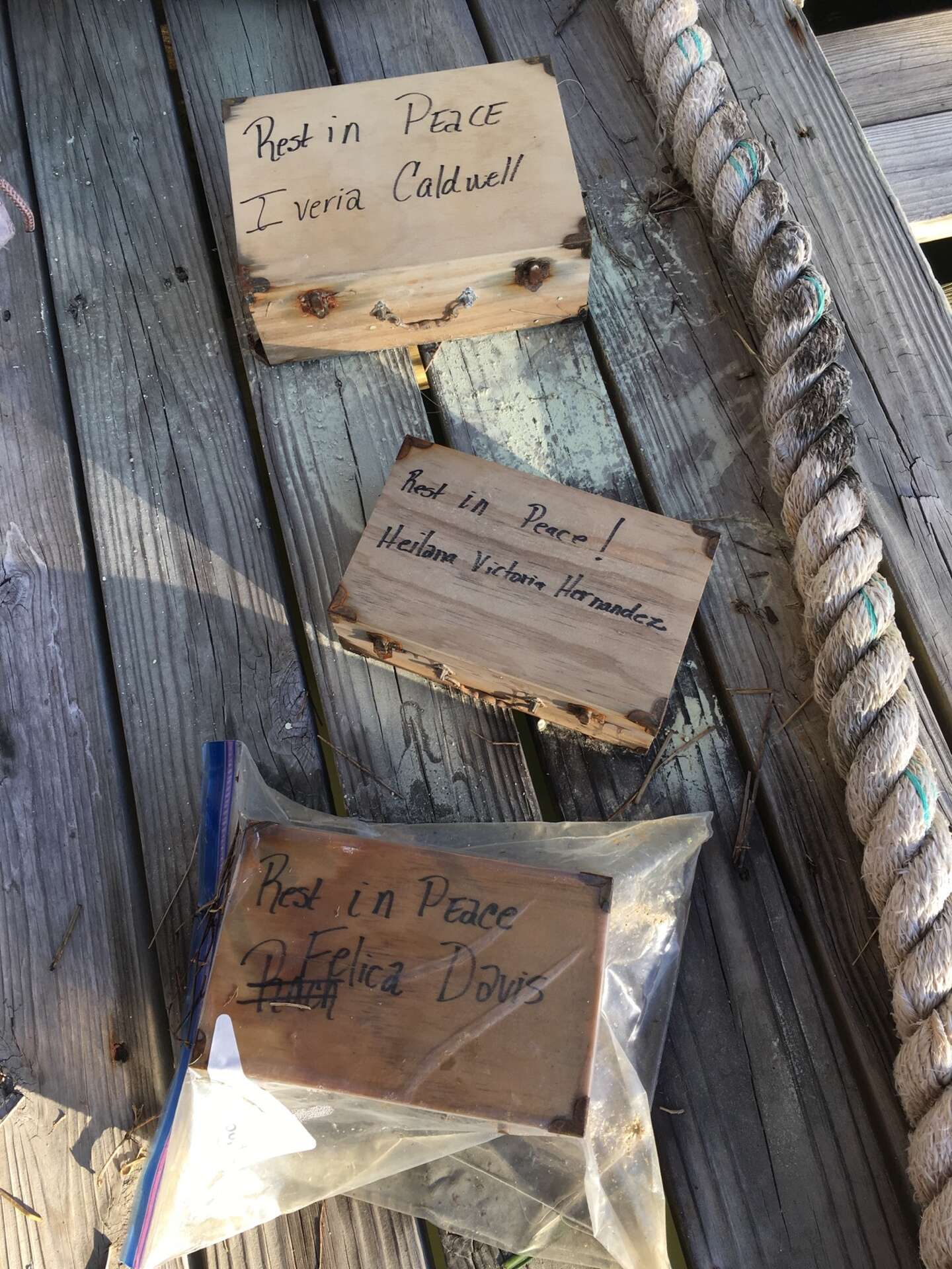 Houston couple who solved grisly 'Ice Box Murders' profiled by true ...