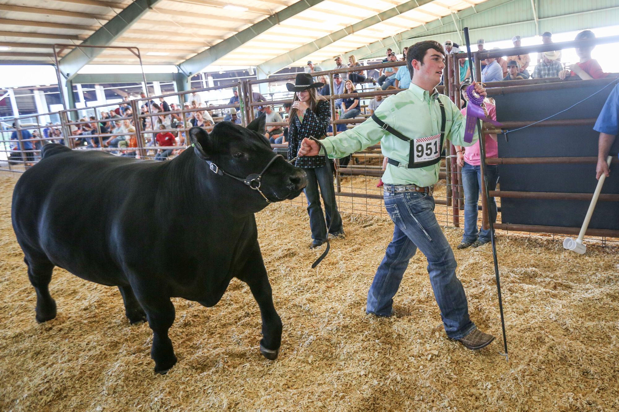 Splendora sophomore takes grand champion steer at Montgomery County Fair