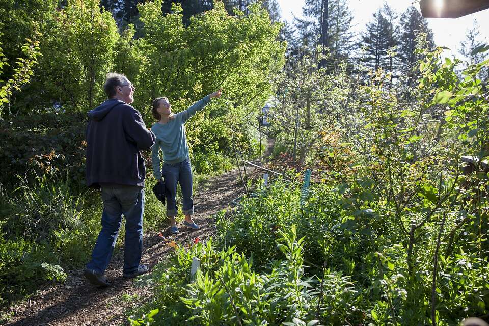 The Santa Cruz garden that launched a movement