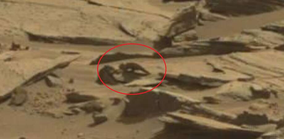 UFO hunters spot lizard-like animal on Mars - Houston Chronicle