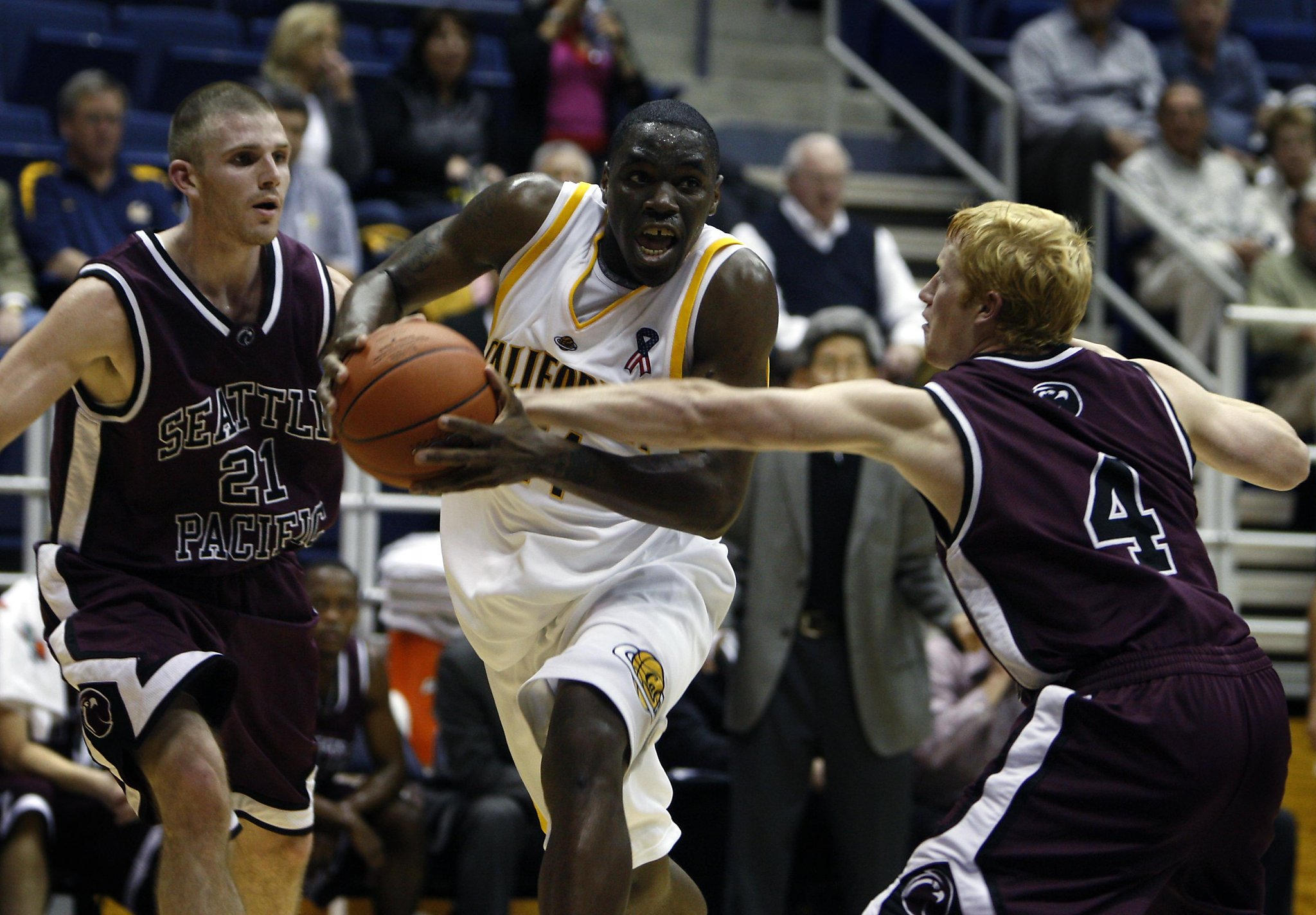 Cal brings Theo Robertson back as assistant coach