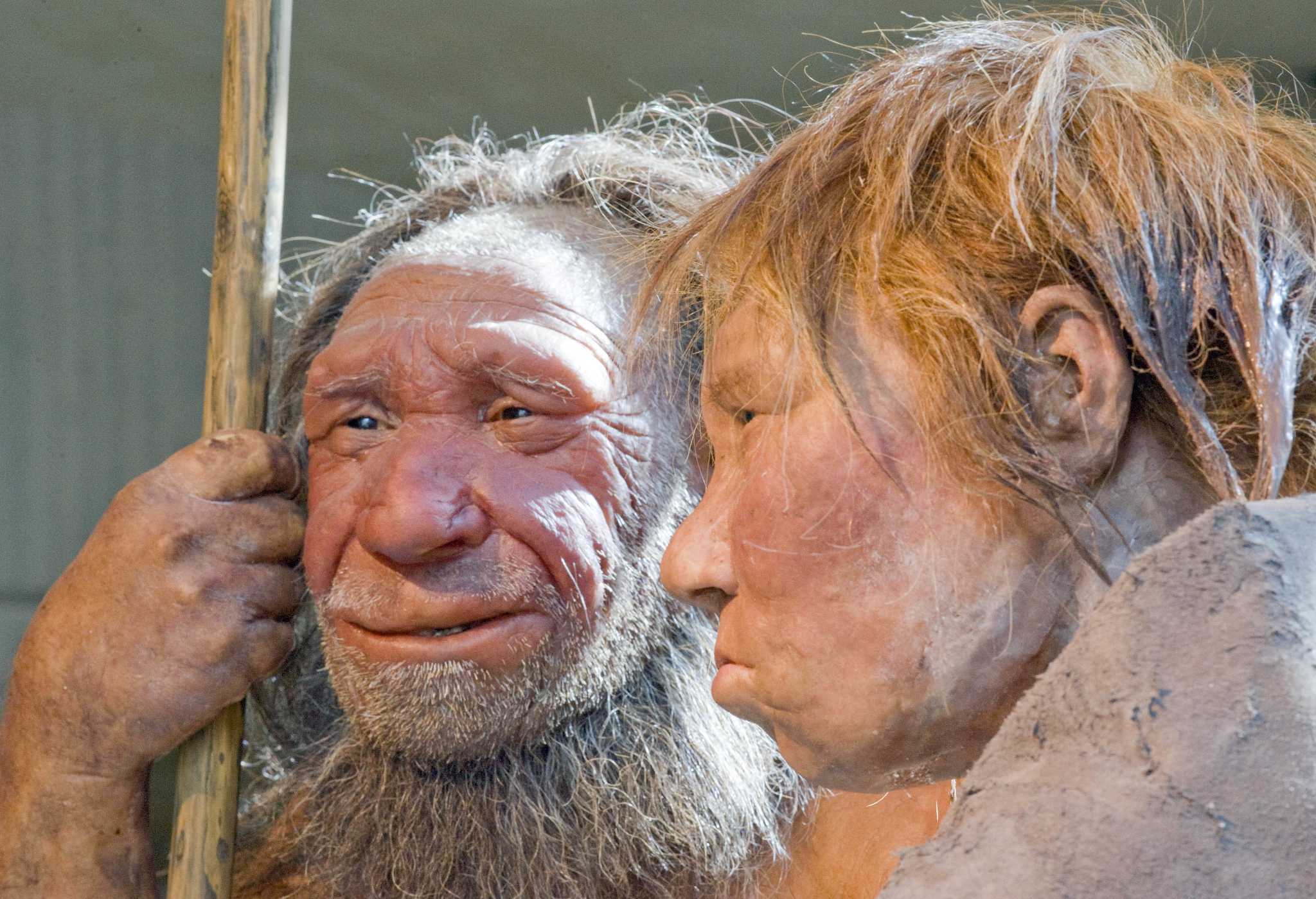 Stone Age cannibals: Hunting each other not worth the hassle
