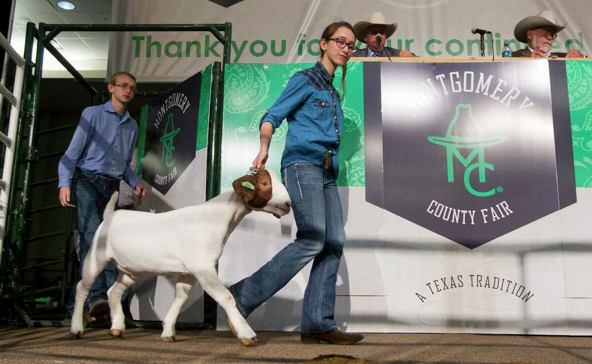 2017 Montgomery County Fair Livestock Champions and Reserve Champions