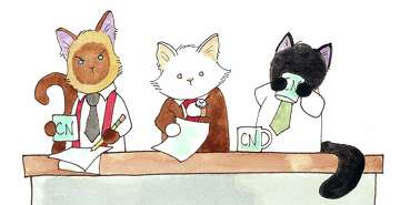 What happened to the 'Get Fuzzy' comic strip?