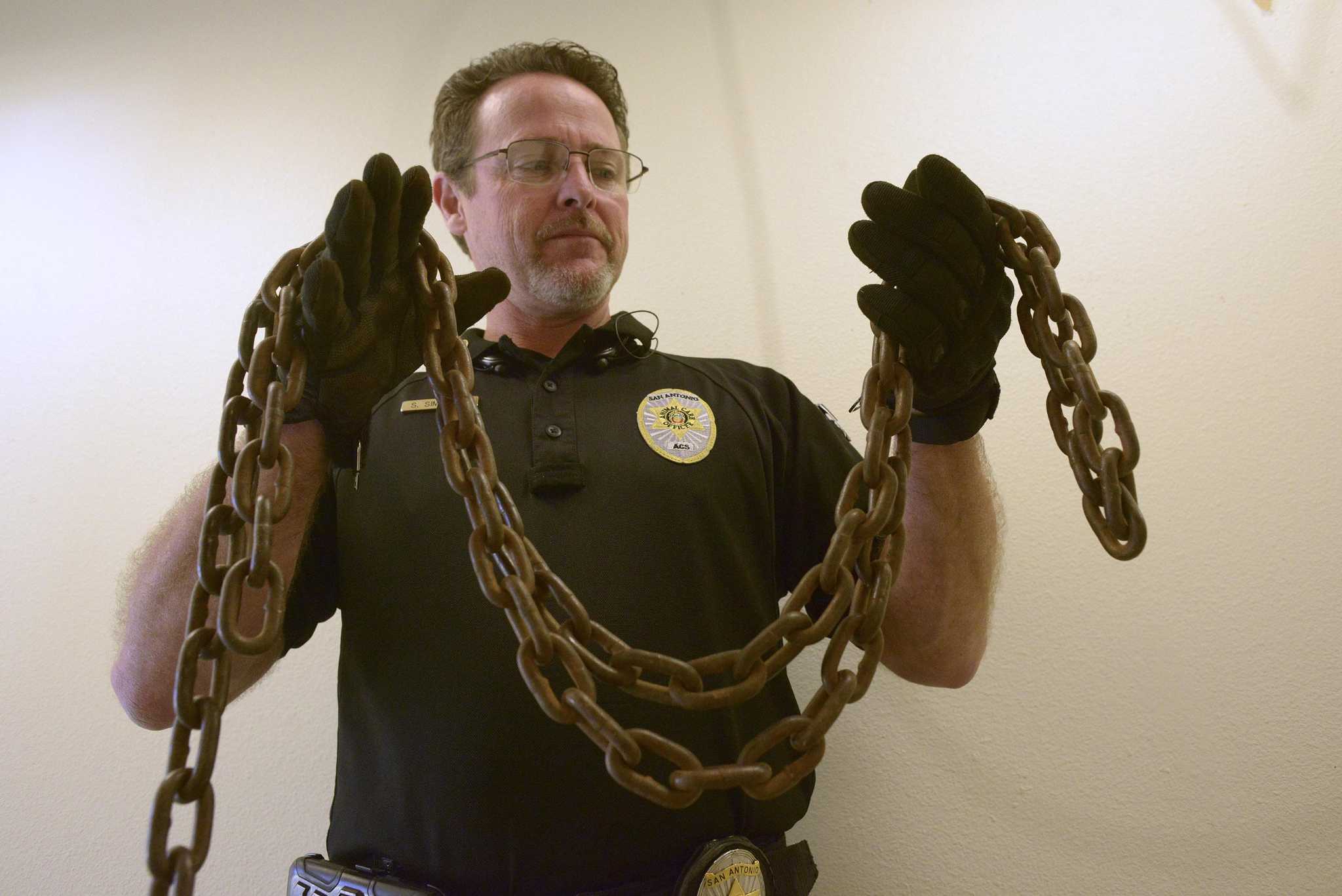 S.A. cracks down on dog chaining, will issue citations to owners for ...