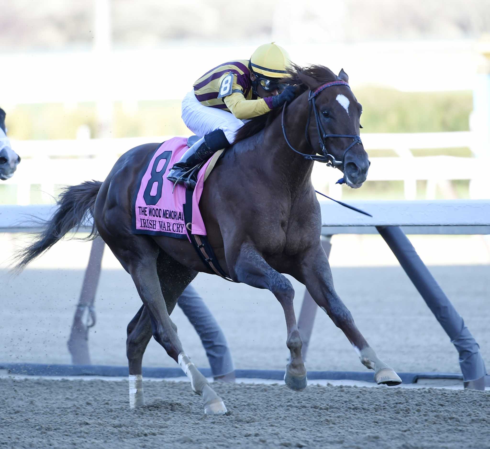 Irish War Cry captures Wood