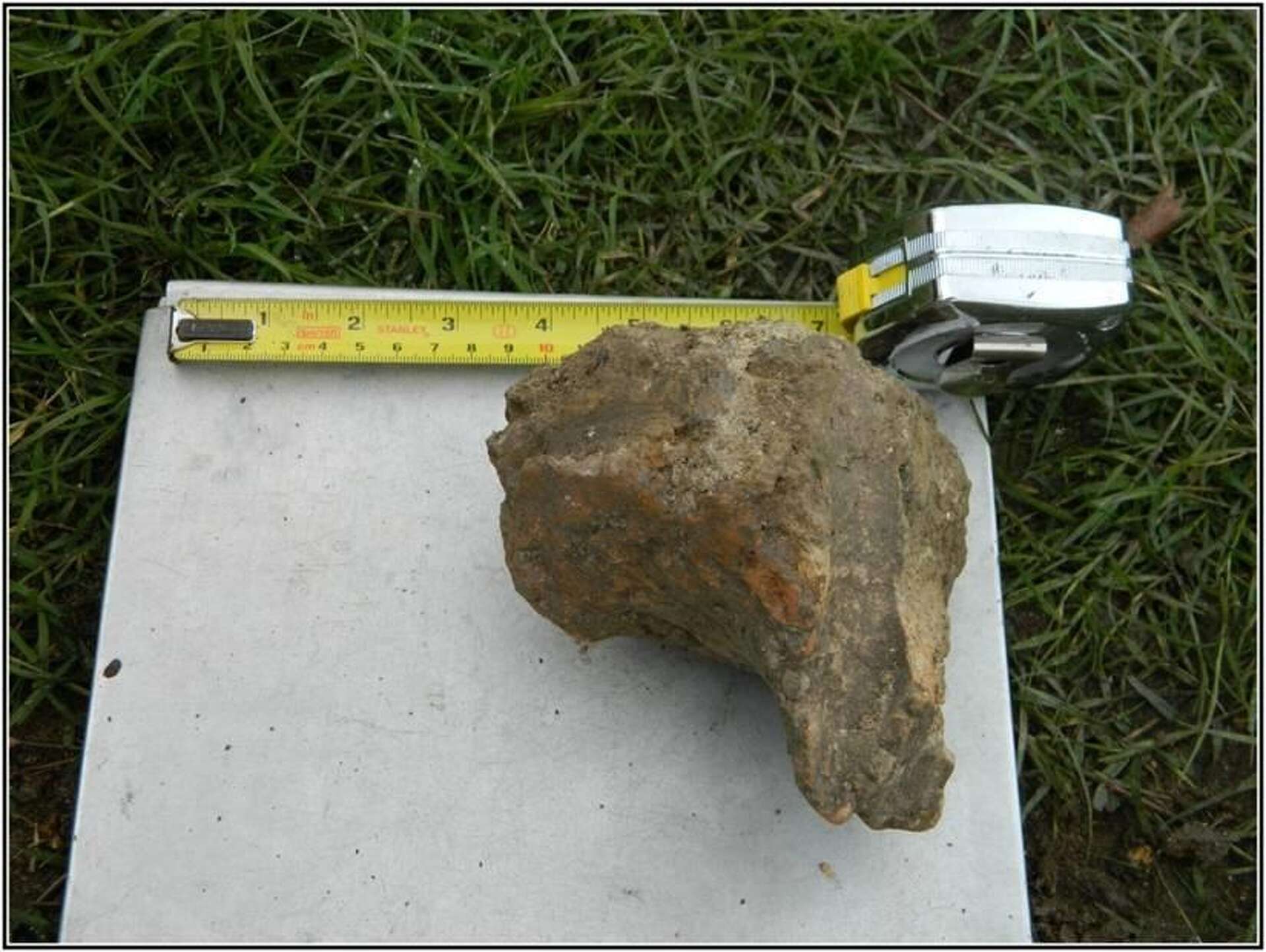 Remains thought to be from city’s first structure