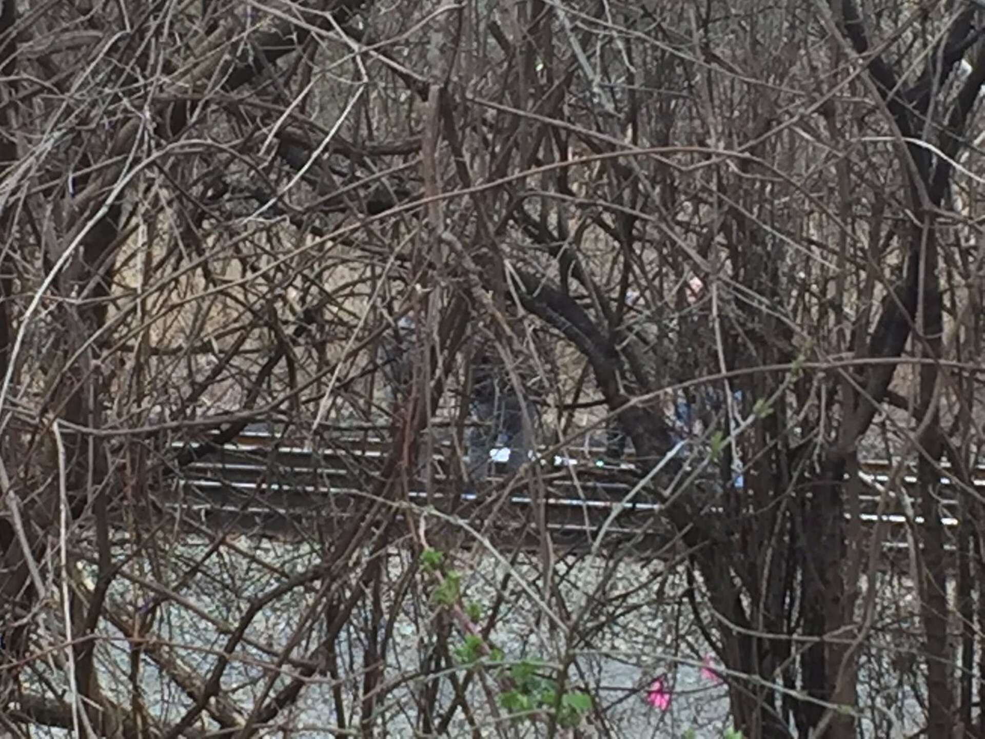 Teen hit by train was UAlbany student, police say