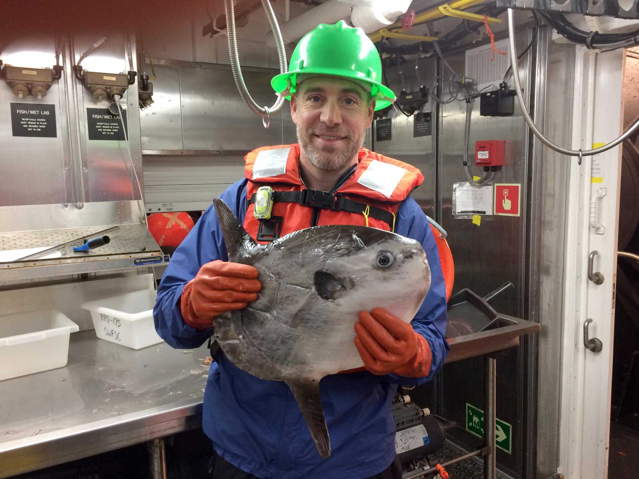 New Fairfield teacher participates in Pacific Ocean research cruise