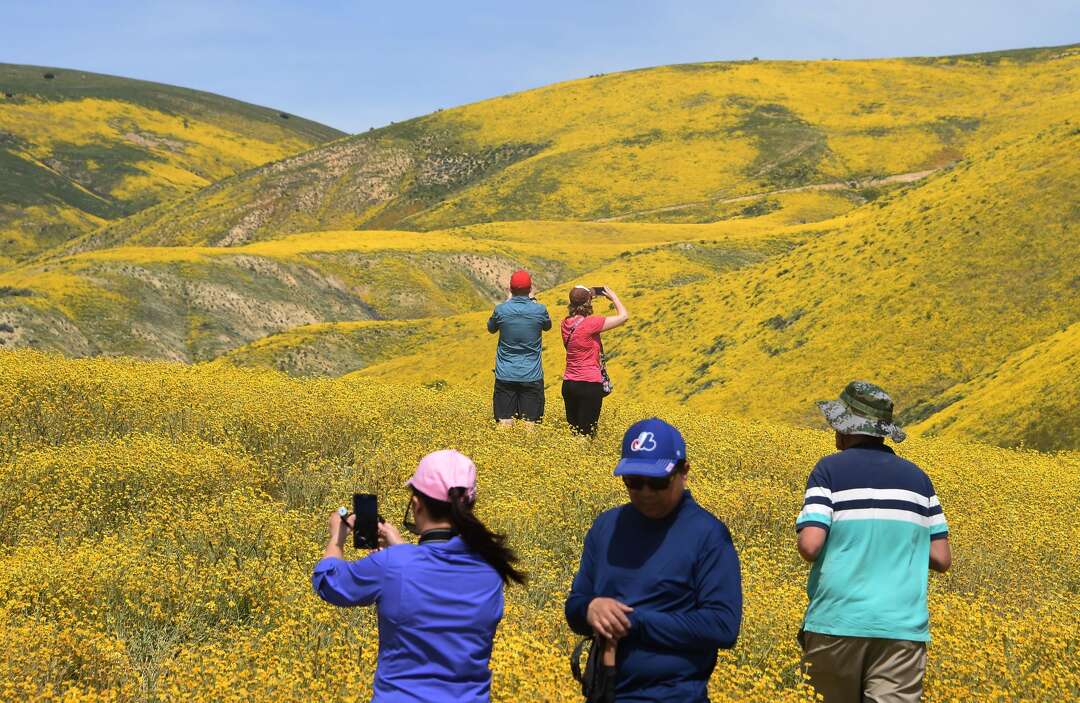 California's super bloom continues to explode with color: How long will ...