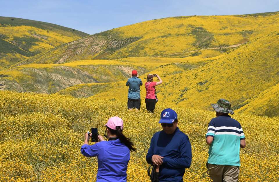 NASA satellite photos reveal extraordinariness of this year's super bloom
