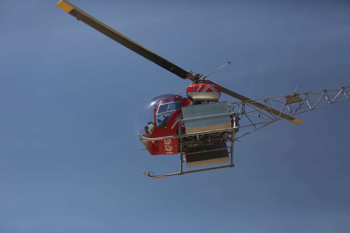 The cost of airlifting 1,100 tortoises in California? $50 million