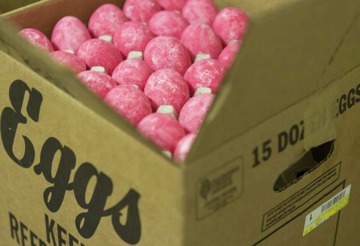 Each crack of a cascarón is months in the making