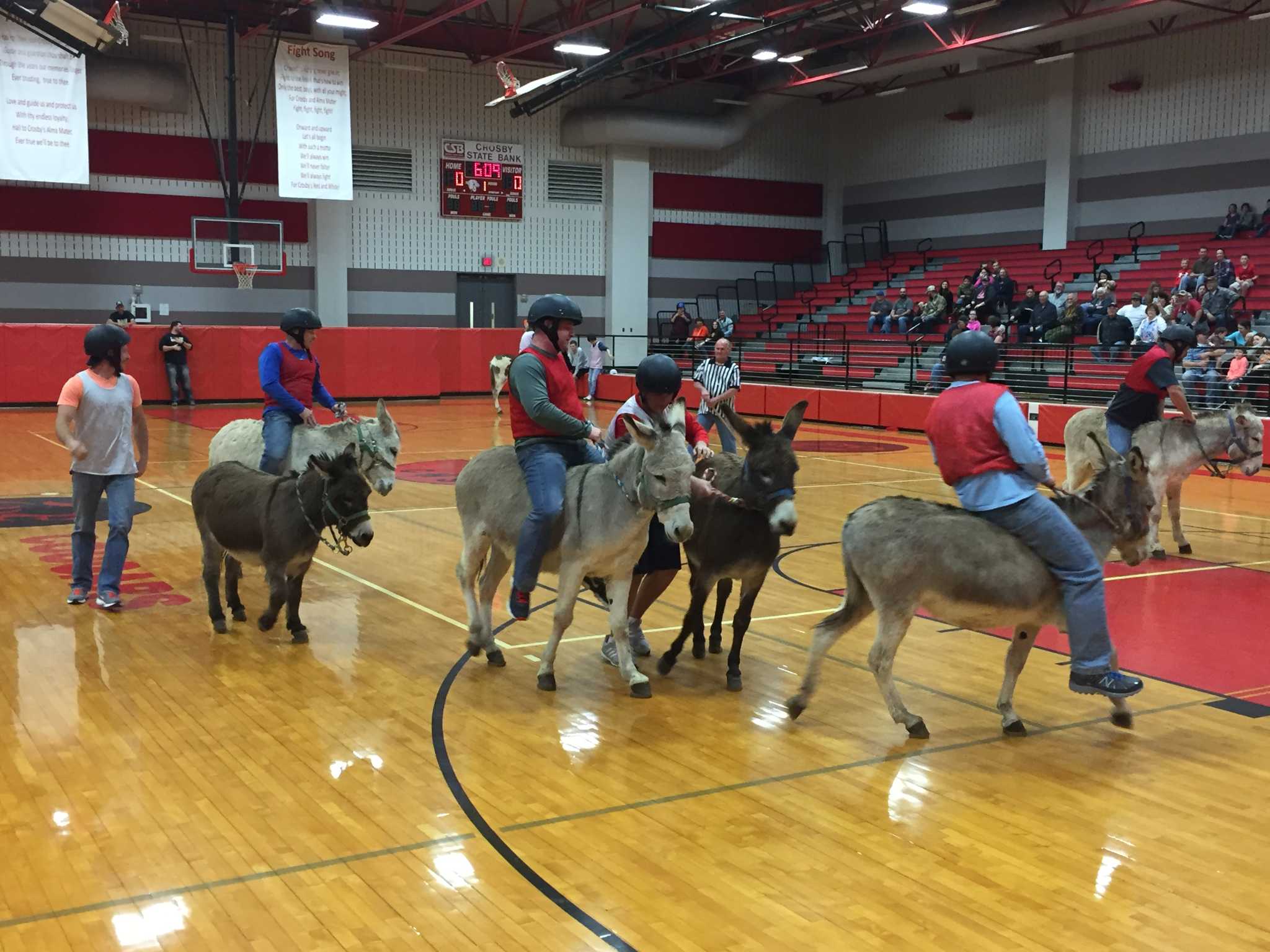 Activists complaining over donkey basketball game; Splendora ISD ...