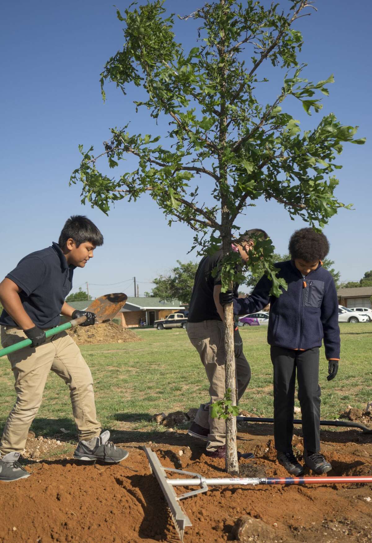 Henderson Elementary students help plant trees in celebration of Arbor Day