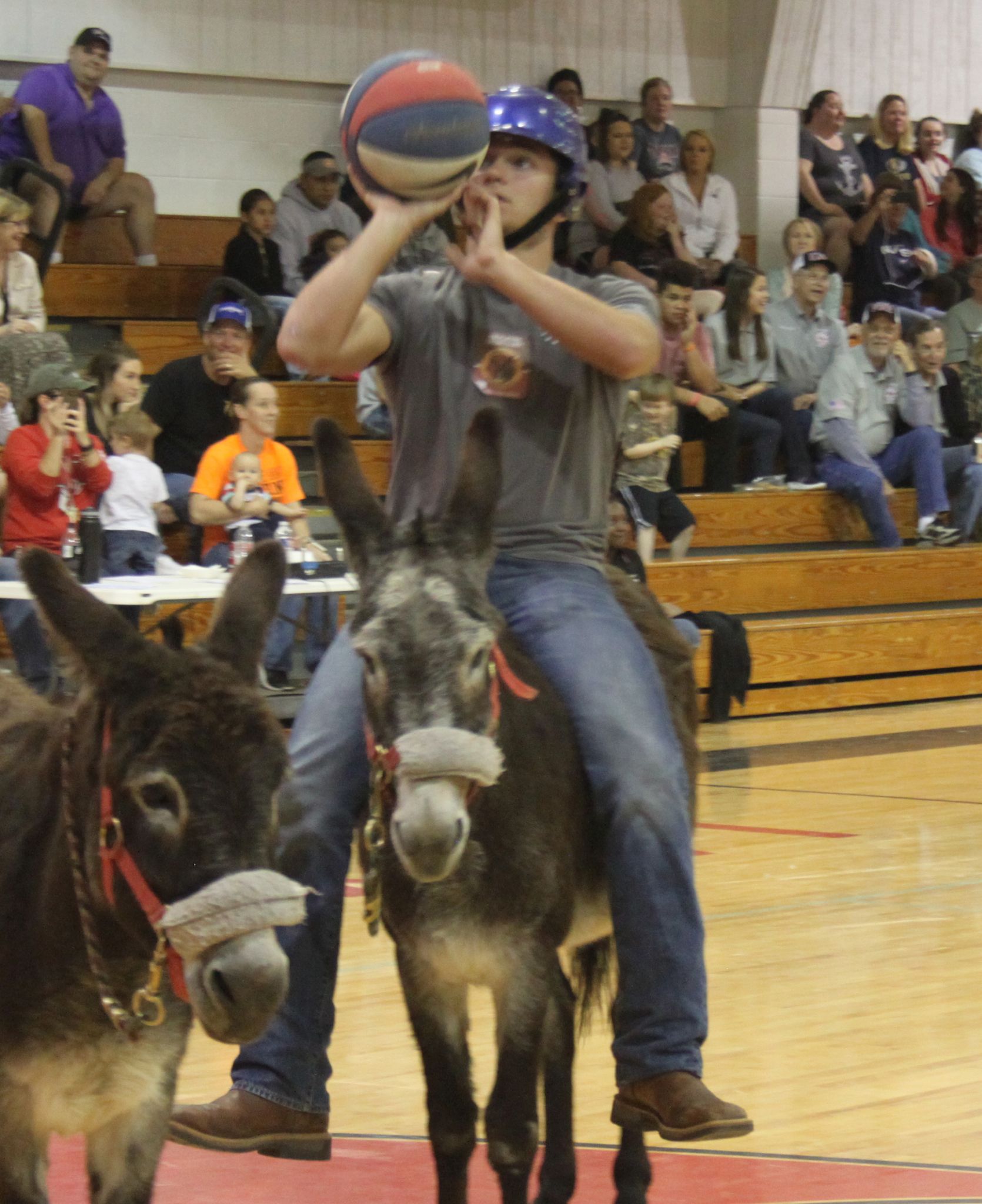 Donkey Basketball Quotes
