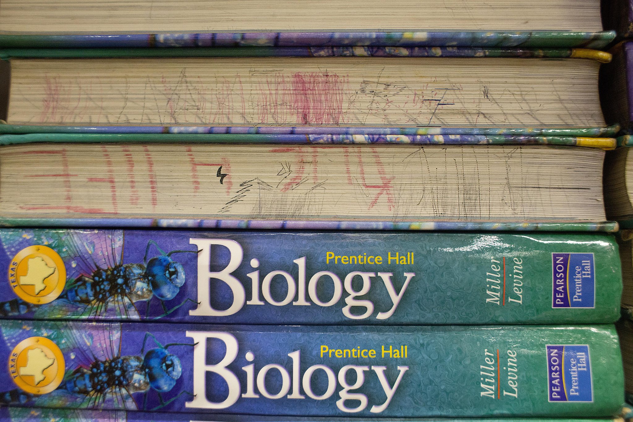 Our State Board of Education needs to go back to school (Opinion)